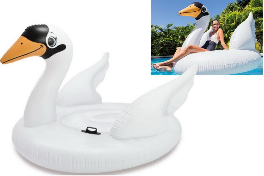 Intex Inflatable Swan Ride On Beach Toy – World Of Camping
